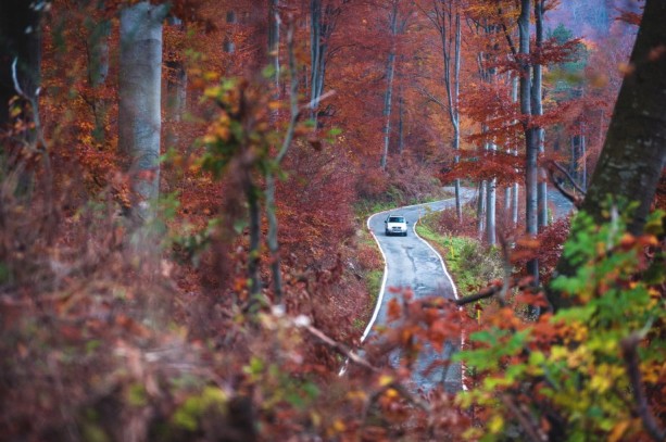 Sljeme - Magical Winter Wonderland Above Zagreb